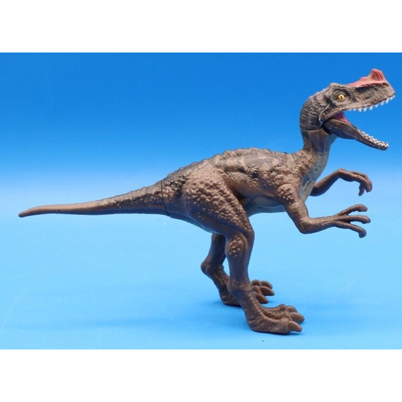 Mattel | Toys | Jurassic World Proceratosaurus Action Figure Mattel ...